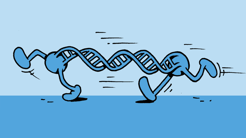 MM App – MedMaster