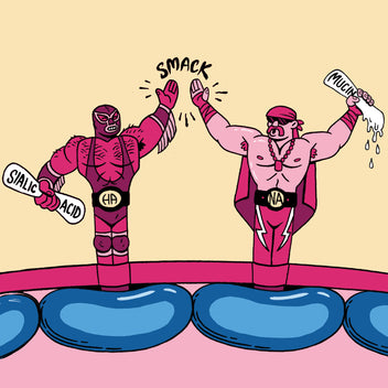 MedMaster | Medical Books & Downloads Made Ridiculously Simple