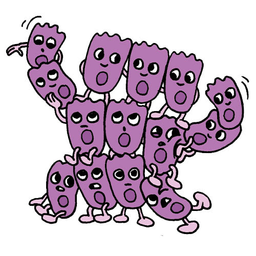 Clinical Microbiology Made Ridiculously Simple – MedMaster