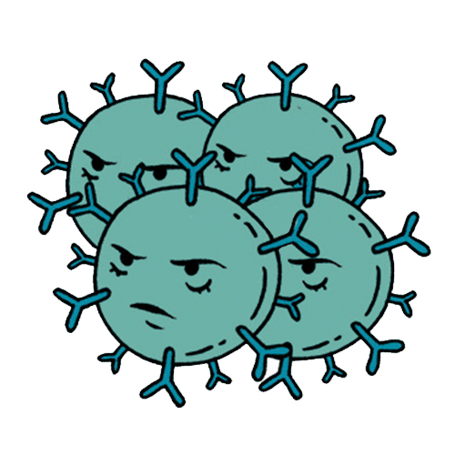 Clinical Neuroanatomy Made Ridiculously Simple – MedMaster