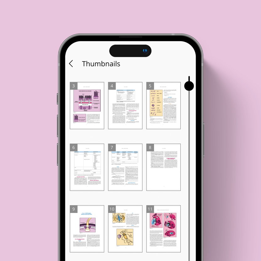 MM App – MedMaster